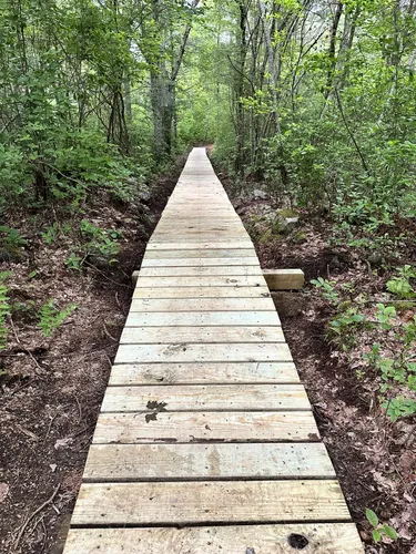 2023 Best Bird Watching Trails in Assonet | AllTrails