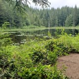 Lily and Lizard Lakes Loop Trail, Washington - 761 Reviews, Map | AllTrails
