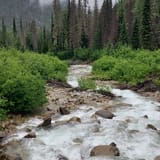 Loop Brook Trail, British Columbia, Canada - 142 Reviews, Map | AllTrails