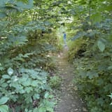 Parnell Tower Trail, Wisconsin - 793 Reviews, Map | AllTrails