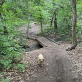 Maple Canyon to Whiting Campground, Utah - 587 Reviews, Map | AllTrails