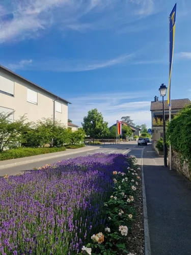 Best Hikes and Trails in Meinier | AllTrails