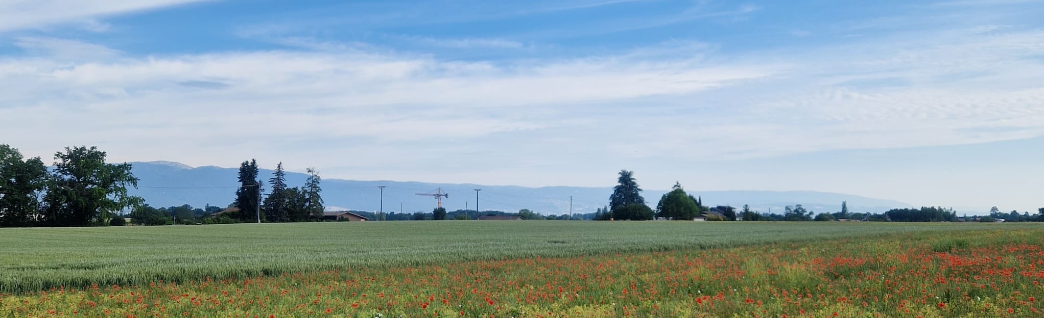 Meinier Circuit: 5 Reviews, Map - Geneva, Switzerland | AllTrails