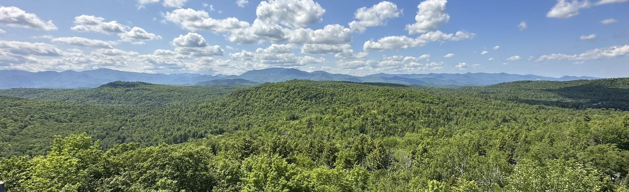 Belfry Mountain, New York - 727 Reviews, Map | AllTrails