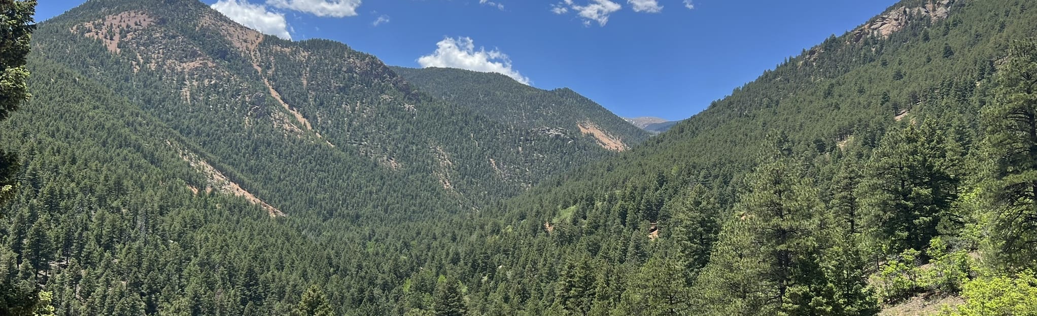 Mount Garfield Peak [CLOSED]: 230 Reviews, Map - Colorado | AllTrails