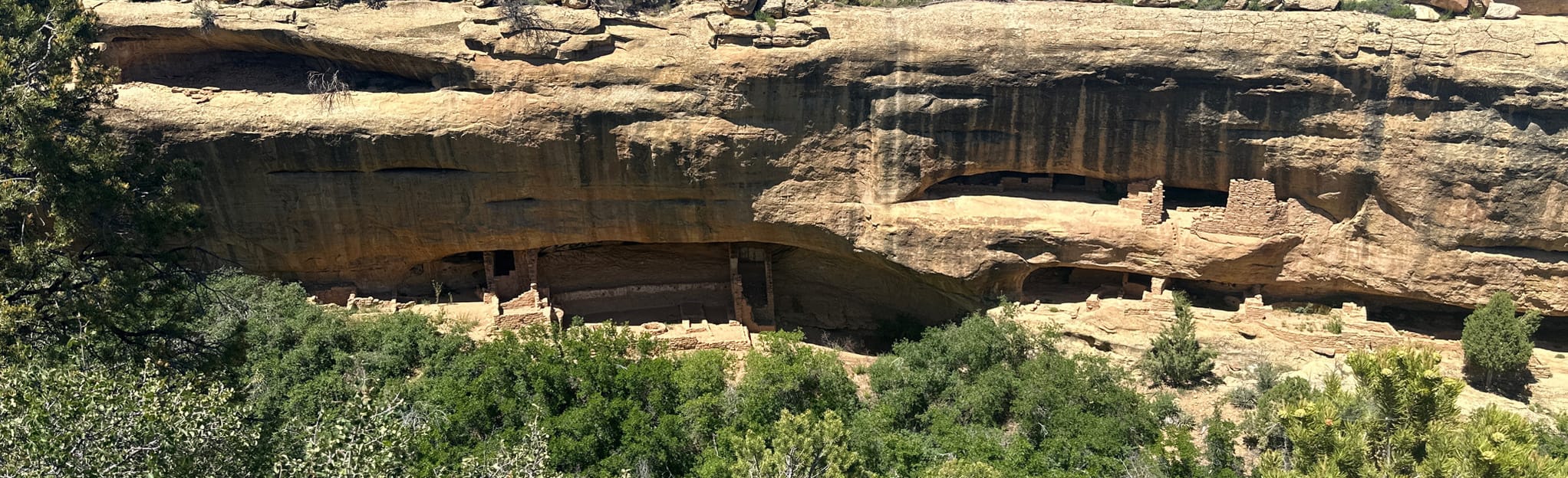 Mesa Top Loop Road, Colorado - 95 Reviews, Map | AllTrails