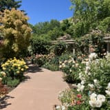 Red Butte Gardens Small Loop, Utah - 289 Reviews, Map | AllTrails