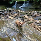 Little Stony Falls Trail, Virginia - 236 Reviews, Map | AllTrails