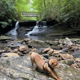 Little Stony Falls Trail, Virginia - 236 Reviews, Map | AllTrails