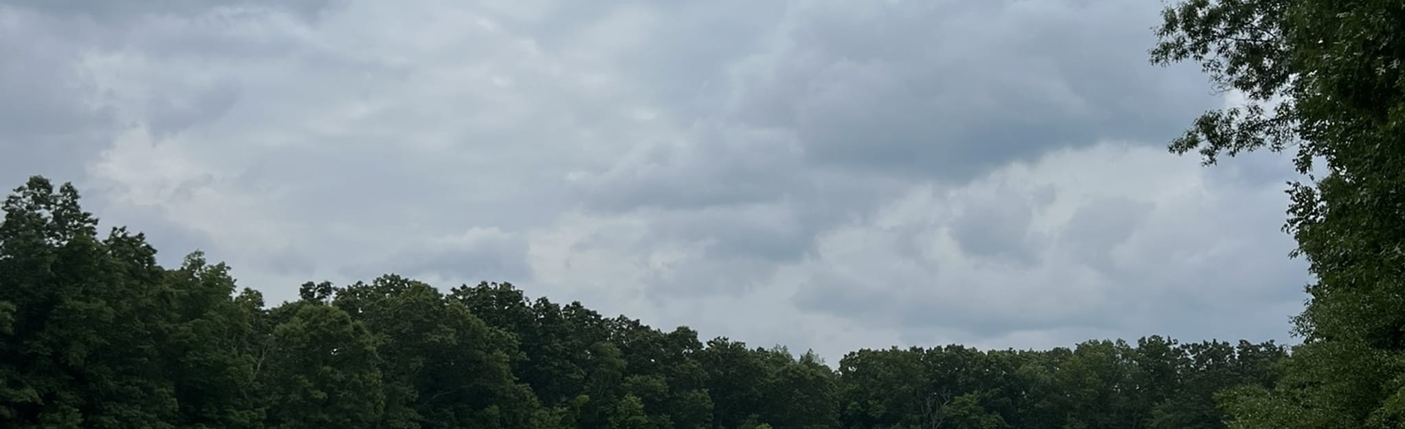 Shepaug River Trail : 38 Reviews, Map - Connecticut | AllTrails