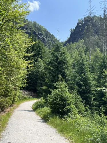 10 Best Lake Trails in Saxon Switzerland National Park | AllTrails