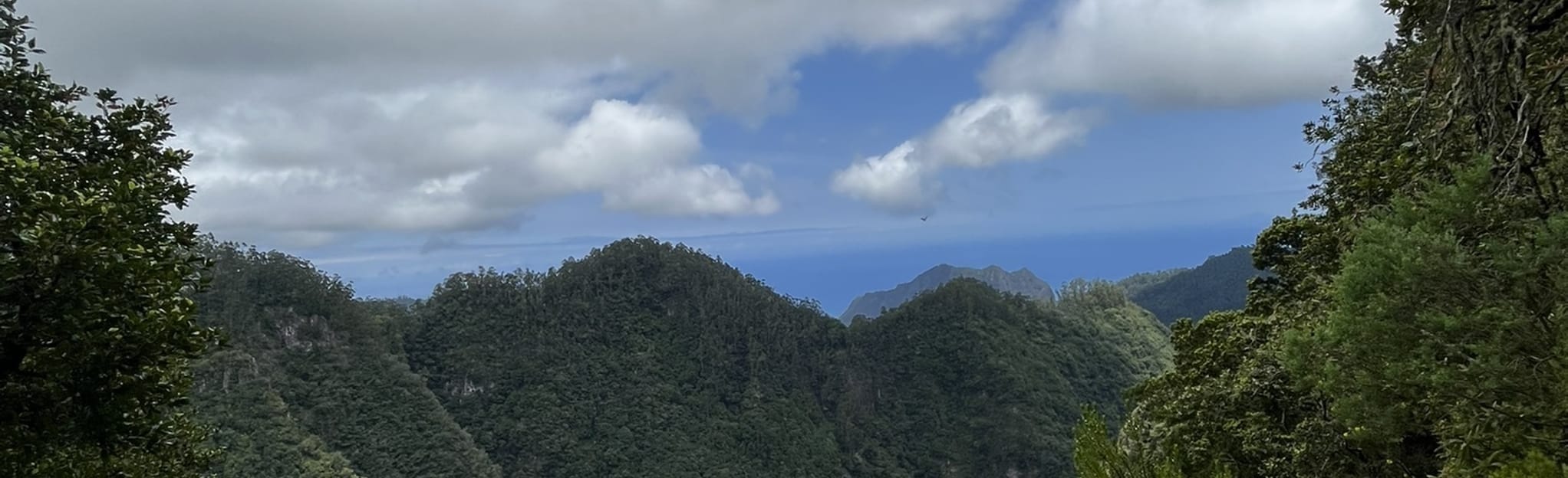 PR10 - Levada do Furado: 176 Reviews, Map - Madeira, Portugal | AllTrails
