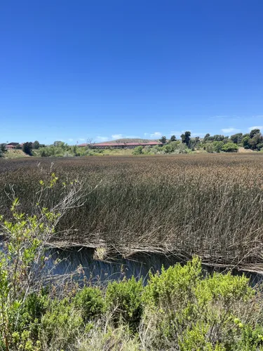 Best Hikes and Trails in Camp Pendleton | AllTrails