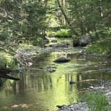 Little Harbor Brook Trail, Maine - 166 Reviews, Map | AllTrails