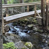 Little Harbor Brook Trail, Maine - 166 Reviews, Map | AllTrails