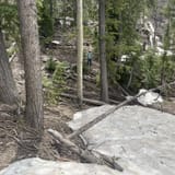 Whipple Trail, Utah - 297 Reviews, Map | AllTrails