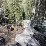 Whipple Trail, Utah - 297 Reviews, Map | AllTrails