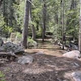 Whipple Trail, Utah - 262 Reviews, Map | AllTrails