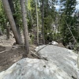 Whipple Trail, Utah - 297 Reviews, Map | AllTrails