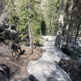 Whipple Trail, Utah - 297 Reviews, Map | AllTrails