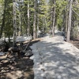 Whipple Trail, Utah - 297 Reviews, Map | AllTrails