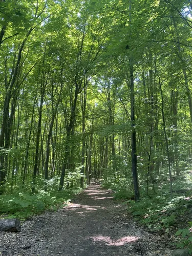 10 Best Trails and Hikes in Rigaud | AllTrails