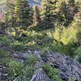 Ballard Mountain Trail, Colorado - 316 Reviews, Map | AllTrails