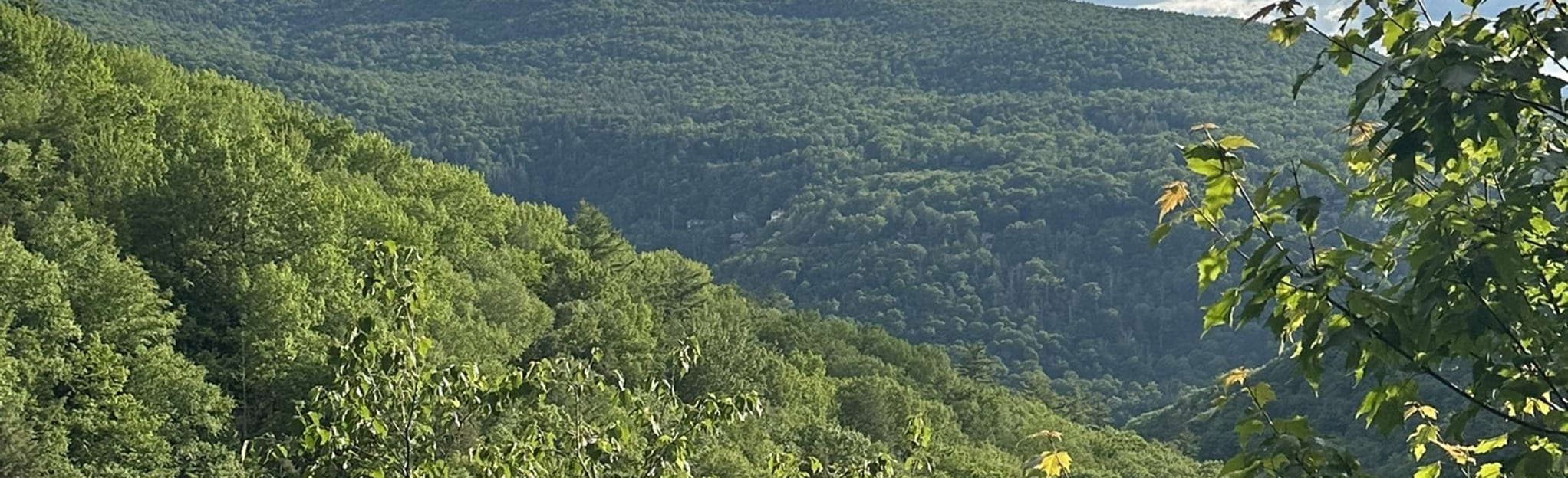 Escarpment Trail to Kaaterskill Falls: 347 Reviews, Map - New York ...