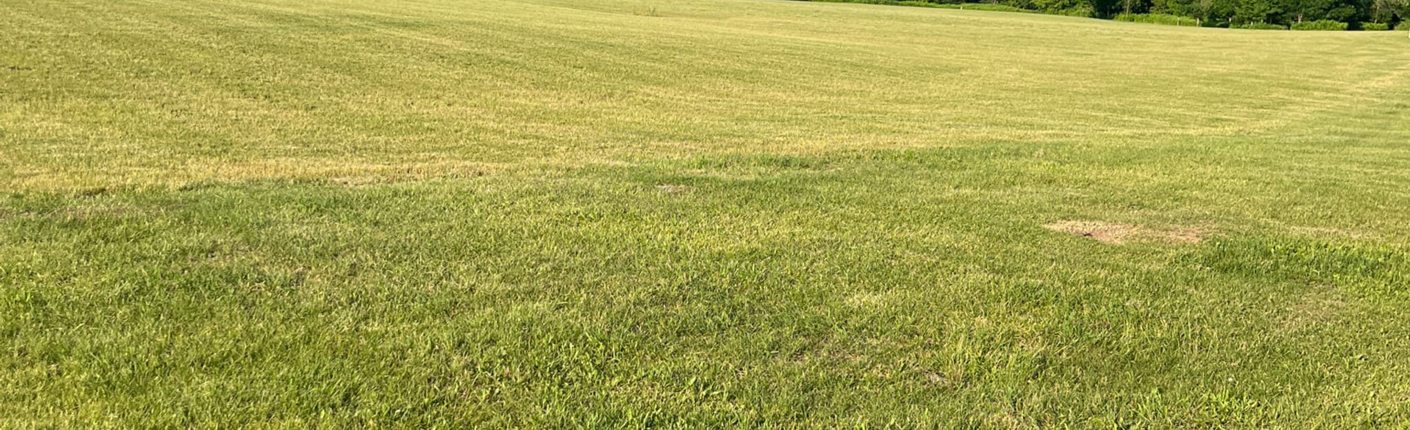 Rothfuss Park Path, New York - 41 Reviews, Map | AllTrails