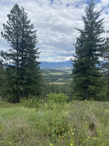 2023 Best Bird Watching Trails in Otis Orchards-East Farms | AllTrails