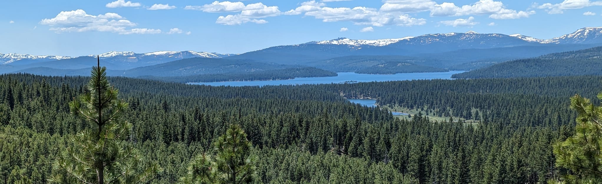 Verdi Peak OHV Route: 11 Reviews, Map - Nevada | AllTrails