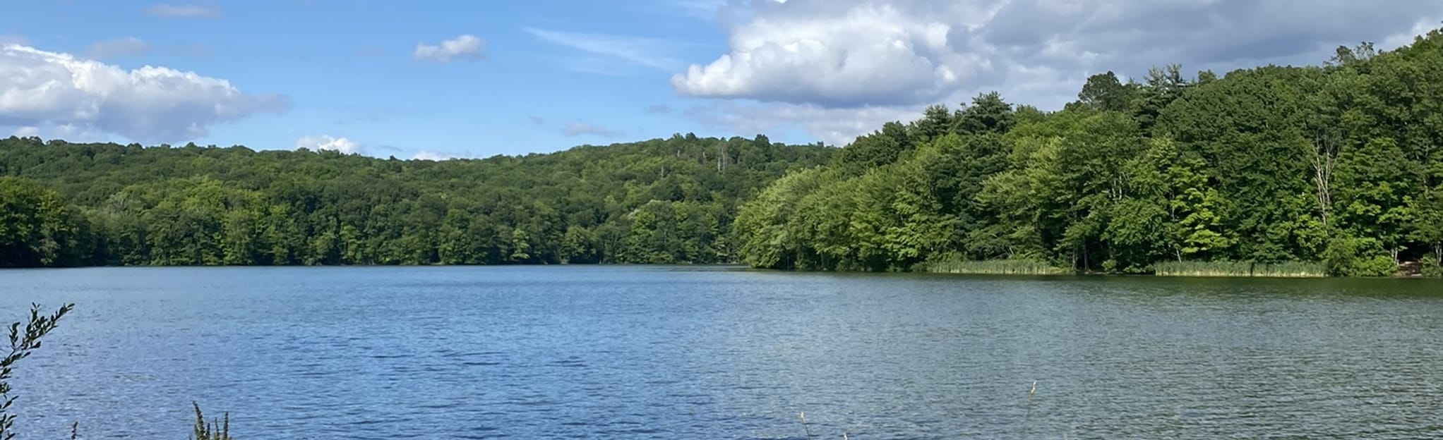 Sunset Rock State Park, Connecticut - 221 Reviews, Map | AllTrails