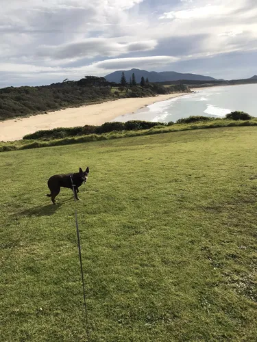 2023 Best Beach Trails in Wallaga Lake National Park | AllTrails