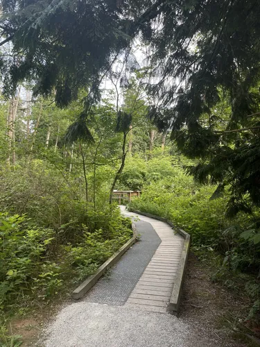 Best Hikes and Trails in Bose Forest Park | AllTrails
