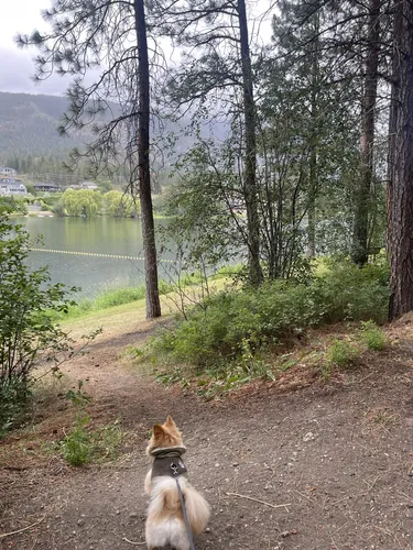 Best Hikes and Trails in Shannon Lake Regional Park | AllTrails