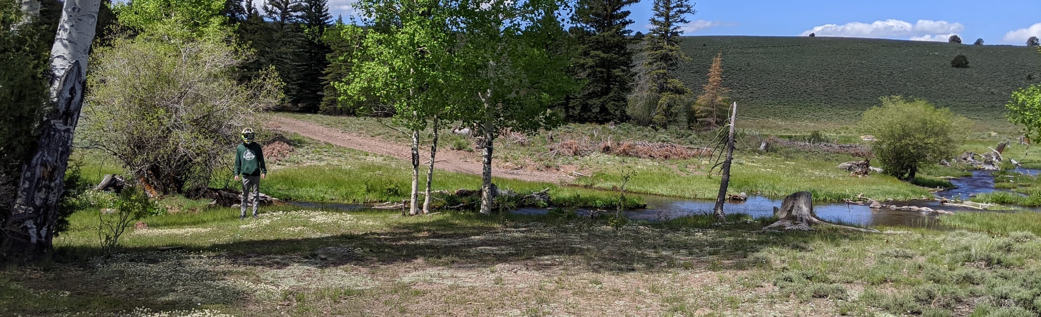 Great Western Trail at Bicknell, Utah - 5 Reviews, Map | AllTrails