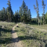 Keystone Gulch, Colorado - 232 Reviews, Map | AllTrails