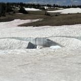 Red Lake Trail, Colorado - 169 Reviews, Map | AllTrails