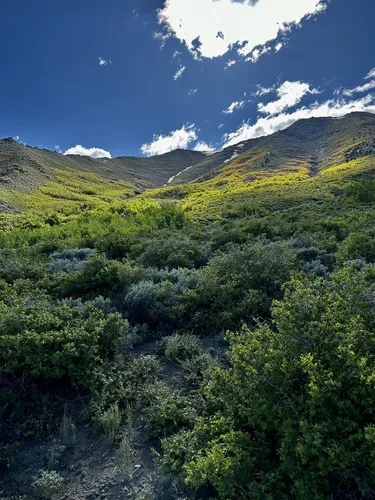 Best Hikes and Trails in Santa Rosa-Paradise Peak Wilderness | AllTrails