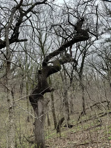 Best Hikes and Trails in Mulberry Bend Overlook | AllTrails