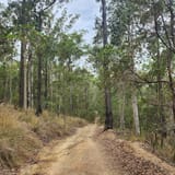 Samford Conservation Park Loop, Queensland, Australia - 513 Reviews ...