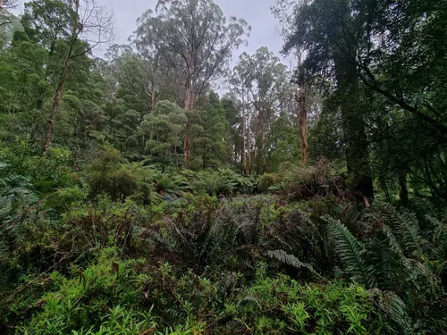 Best Hikes and Trails in Mount Worth State Park | AllTrails