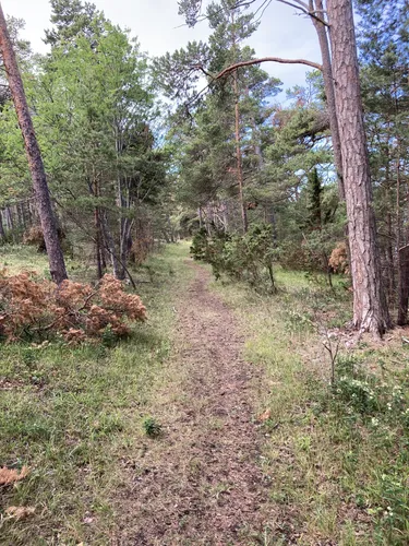 Best Hikes and Trails in Hall-Hangvar naturreservat | AllTrails