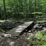 Inman Pond Trail, New York - 321 Reviews, Map | AllTrails