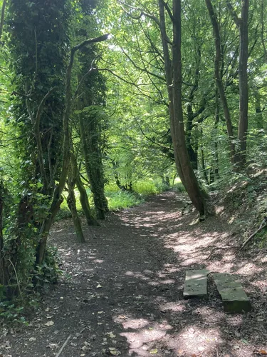 Best Hikes and Trails in Shelf Hall Park | AllTrails