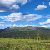 Summit Trail to Wickersham Dome, Alaska - 232 Reviews, Map | AllTrails