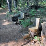 North Country Trail and Fife Lake Loop, Michigan - 312 Reviews, Map ...