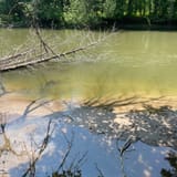 North Country Trail and Fife Lake Loop, Michigan - 336 Reviews, Map ...