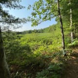 North Country Trail and Fife Lake Loop, Michigan - 316 Reviews, Map ...