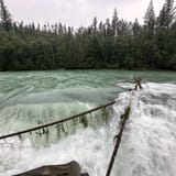 Rearguard Falls Trail, British Columbia, Canada - 191 Reviews, Map ...
